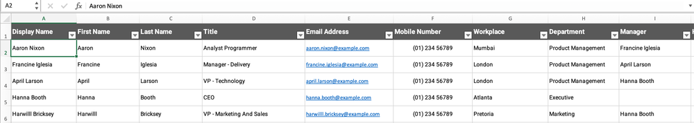 How to Build Your Employee Directory in Microsoft Excel (Plus Free ...
